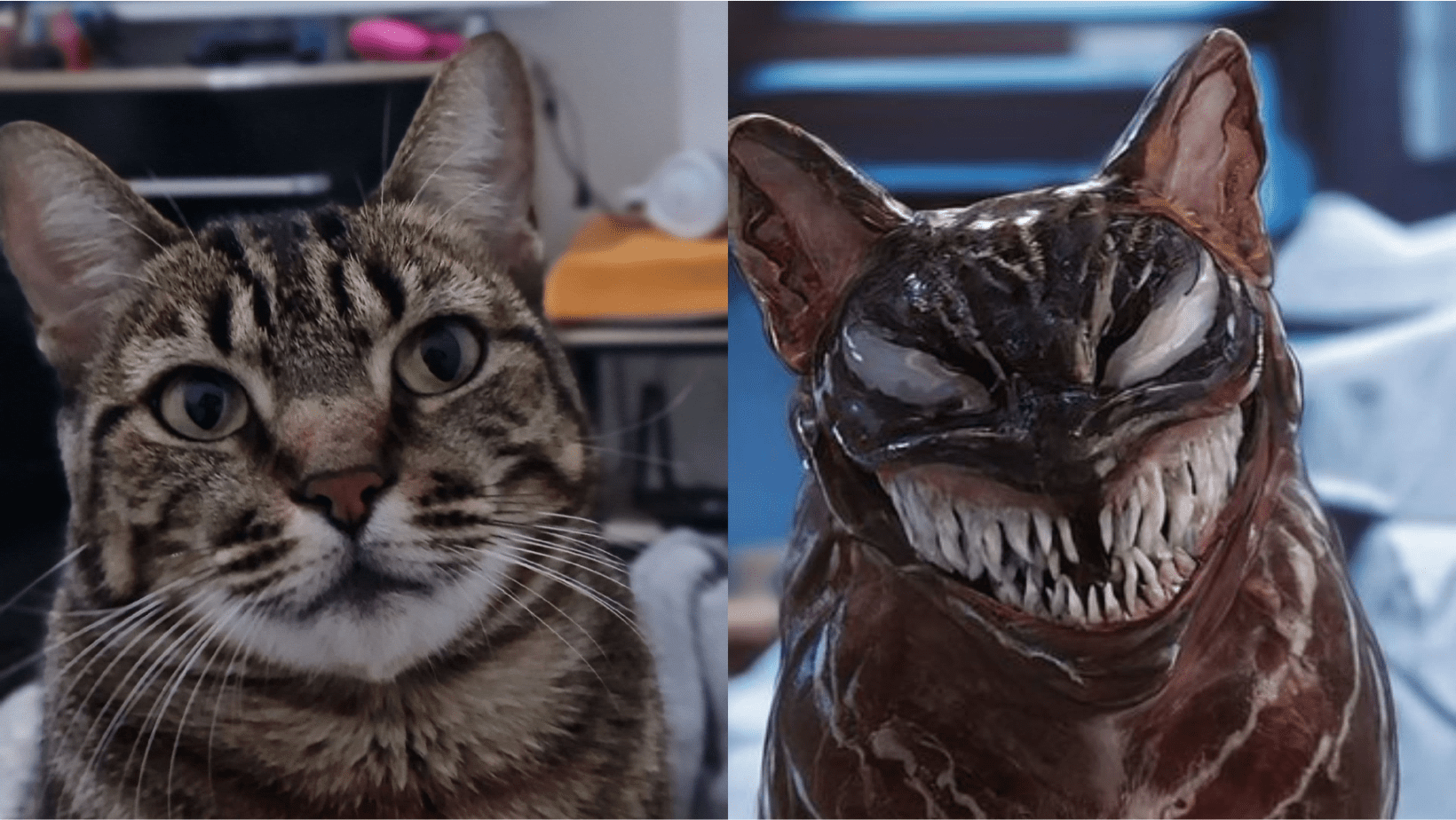 “Venomize seu Pet”: confira filtro especial para a estreia de ‘Venom: A ...